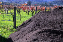California Vineyards Recycle DE Spent Cake from Filtration into Compost
