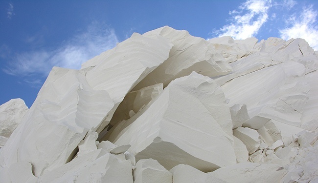 Millions of years in the making: National Diatomaceous Earth Day